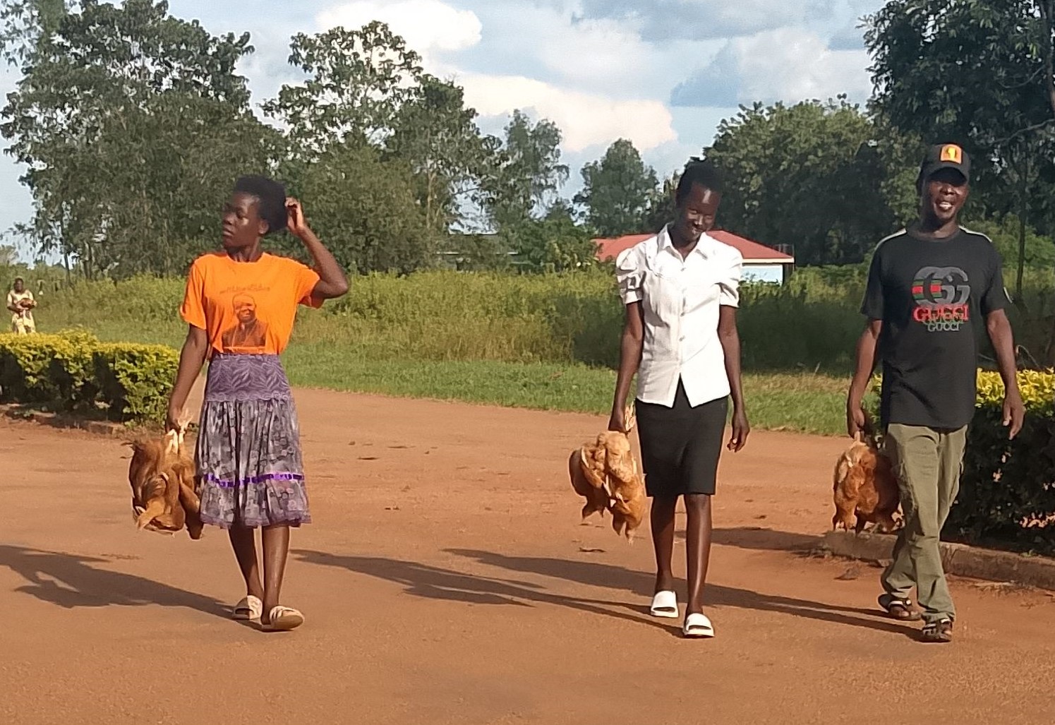 Oyam’s Reformed Gangs Face Collapse After Failed Empowerment Project ...